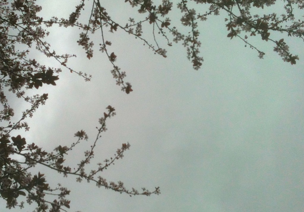 February, Good Riddance – Portland Orbit