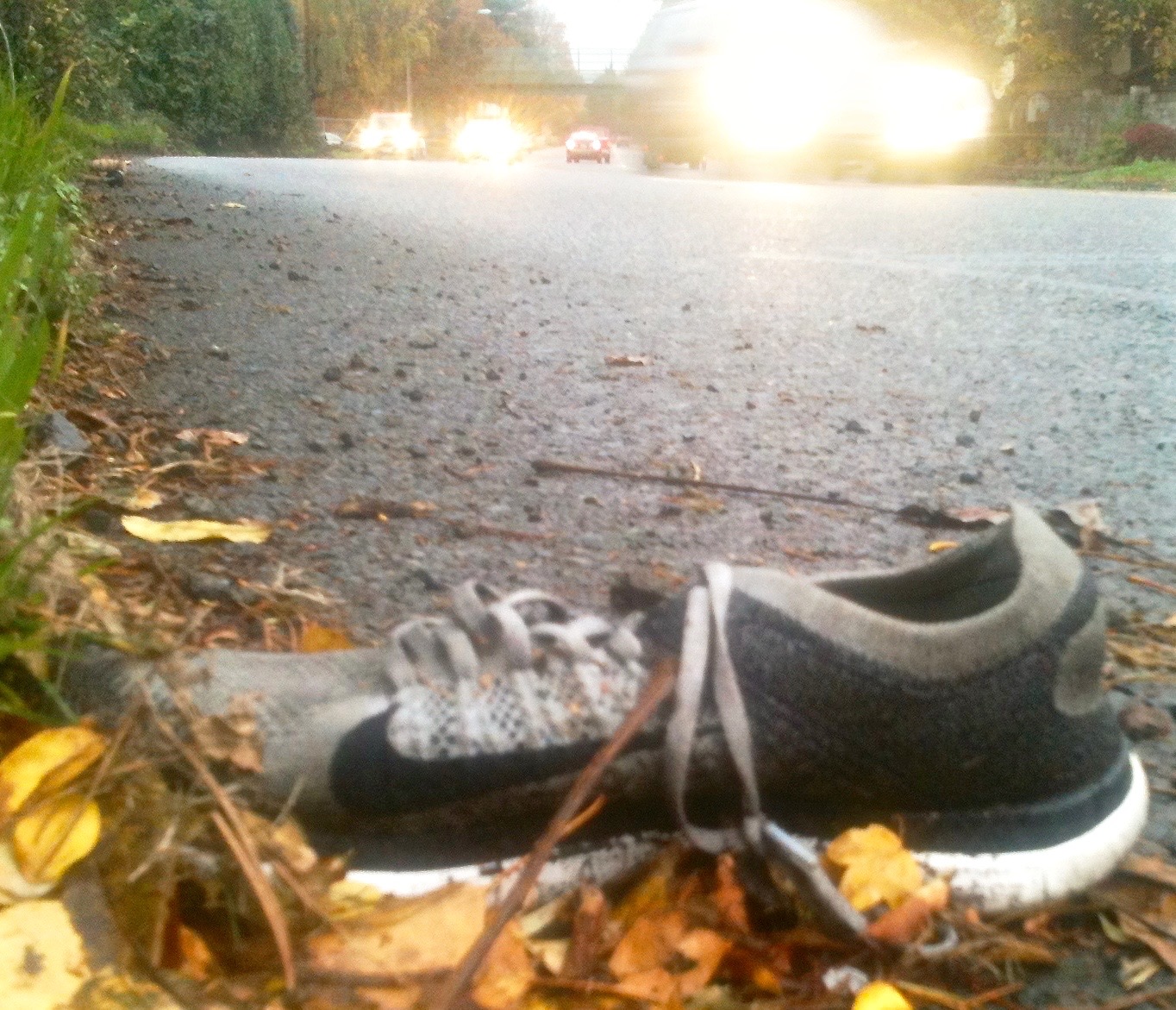 Portland Shoe Art Scene Part 2! – Portland Orbit